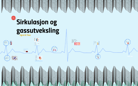 Sirkulasjon og gassutveksling by thea belhadi on Prezi