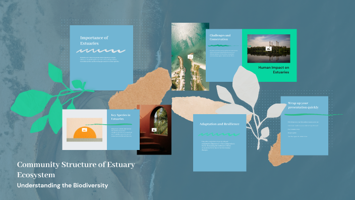 Community Structure of Estuary Ecosystem by Ludfi Kurniawan on Prezi