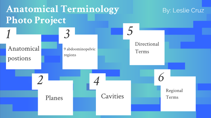 Anatomical Terminology Photo Project by Leslie Cruz on Prezi