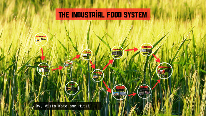 The Industrial Food System by Kate Dungey on Prezi