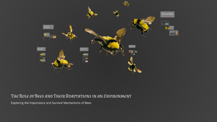 The Role of Bees and Their Adaptations in an Environment by alex morgan ...