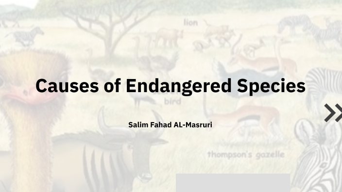 Causes of Endangered Species by Salim Al-masruri on Prezi