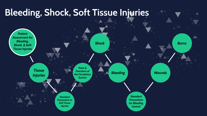 Chapter 14 Bleeding, Shock, Soft Tissue Injuries by Savannah Browning ...