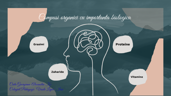 Compusi organici cu importanta biologica by geo alexandra on Prezi