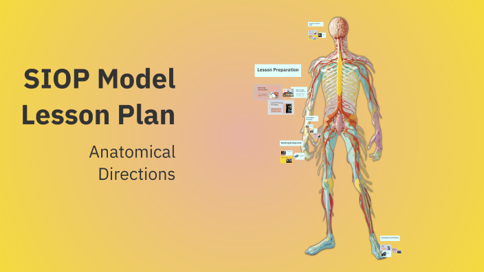 SIOP Model Lesson Plan by Ken Smikahl on Prezi