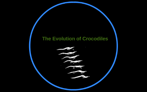 The Evolution of Crocodiles by Nick Morton on Prezi