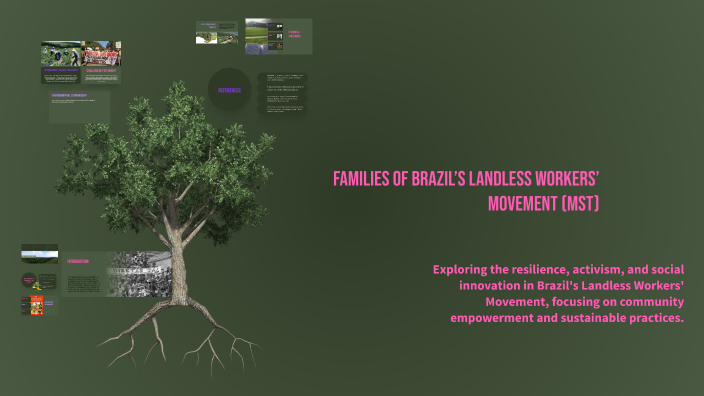 Seeds of Resistance: Families of Brazil’s Landless Workers’ Movement ...
