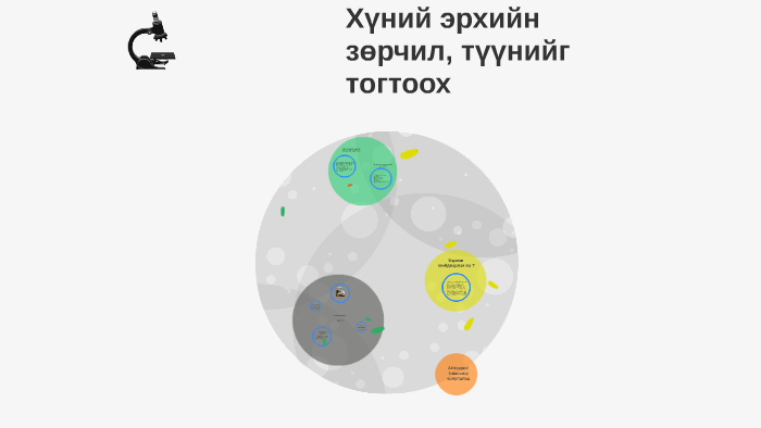 Хүний эрхийн зөрчил түүнийг тогтоох By Н Халиун On Prezi