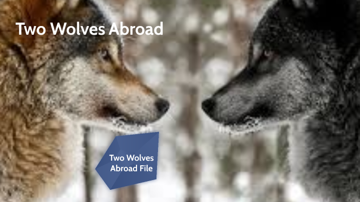 2 wolves Abroad by Taein Park on Prezi