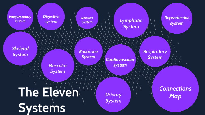 Eleven Systems by Nevaeh Wagendorf on Prezi