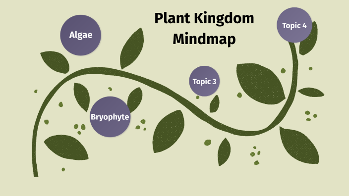 Plant Kingdom Mind Map by Aarya Vyawahare on Prezi