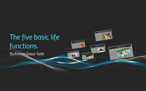 The five basic life functions. by REBECCA BAGGETT