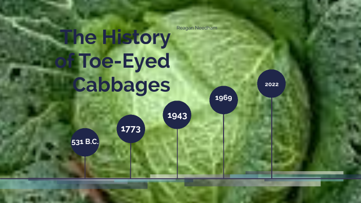 The History of Toe-Eyed Cabages by Reagan Needham on Prezi
