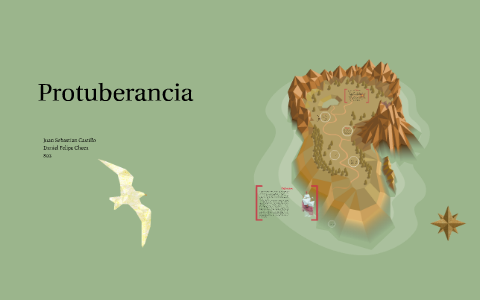 Protuberancia by on Prezi