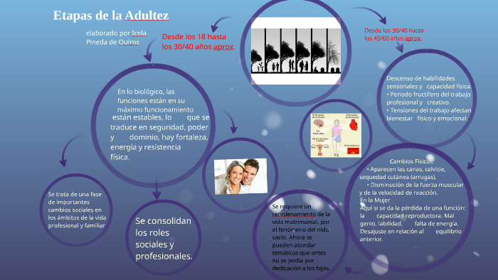 Etapas de la Edad Adulta by loorgyn quiros on Prezi