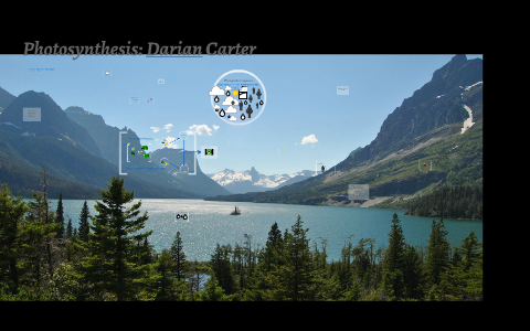 Photosynthesis: Darian Carter by Darian Carter on Prezi