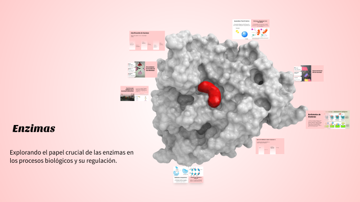 Mapa Conceptual: Enzimas by Erika Musella on Prezi