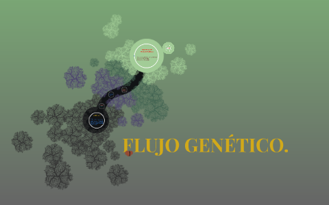 FLUJO GENÉTICO. by JUANITA MUNAR on Prezi