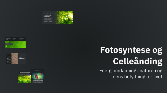 Fotosyntese og Celleånding by mats spiten on Prezi
