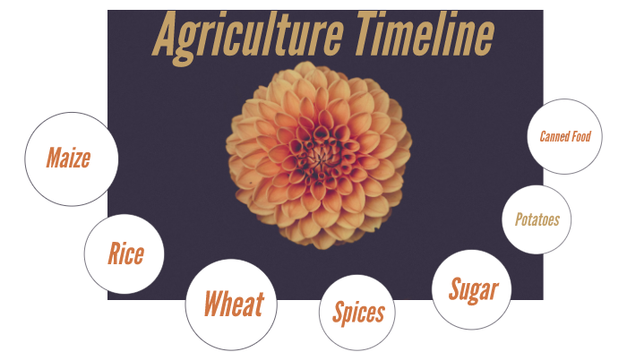 whap timeline by vanessa lopez on Prezi