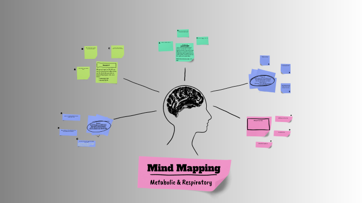 Exam 2 Mind Mapping by Logan Vigil on Prezi