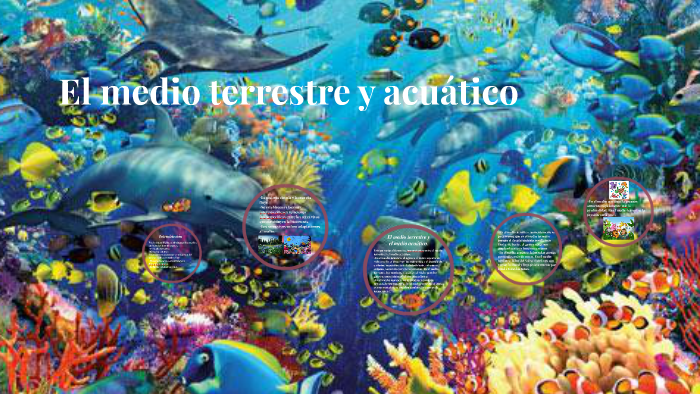 El medio terrestre y acuático by Patricia Vela León on Prezi