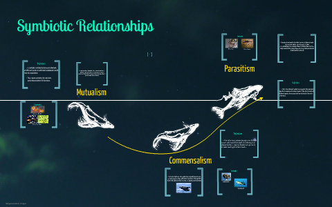 Symbiotic Relationships by Elena Hadley on Prezi
