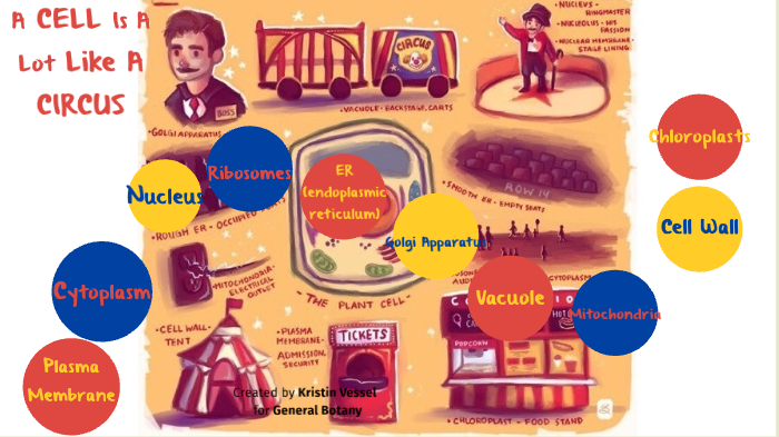 Cell Analogy Project by Kristin Vessel on Prezi