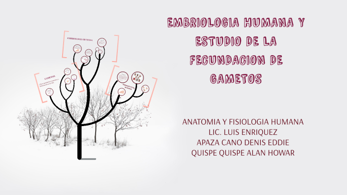 ANATOMIA Y FISIOLOGIA HUMANA by Denis Eddie Apaza Cano on Prezi