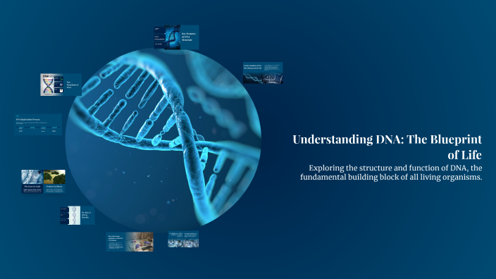 Understanding DNA: The Blueprint of Life by Muhammad Farhan on Prezi