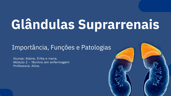 Glândulas Suprarrenais by ivana mendonça on Prezi