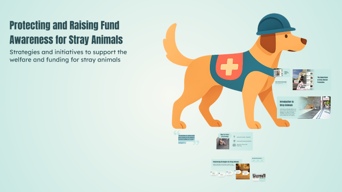 Protecting and Raising Fund Awareness for Stray Animals by Queen ...