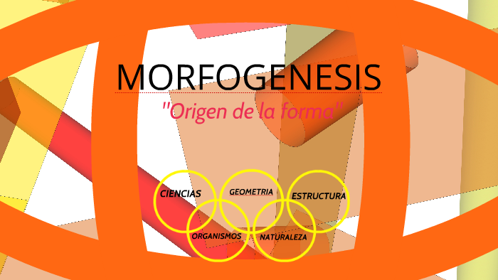 MORFOGENESIS by Zaira Taleb on Prezi