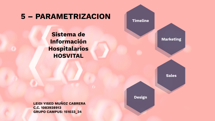 PASO 5 – PARAMETRIZACION by Leidy muñoz on Prezi
