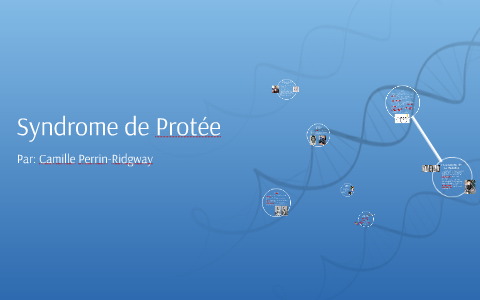 Syndrome de Protée by Camille Perrin-Ridgway on Prezi