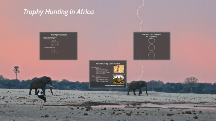 African Project by Alexa Prior on Prezi