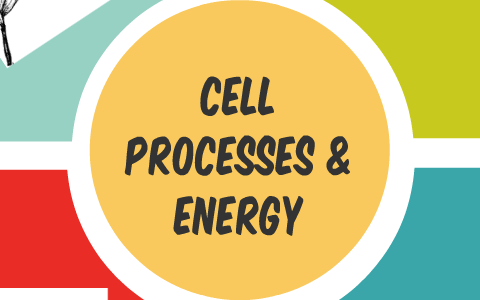 Chapter 3: Cell Processes & Energy- Life Science by Shryl Francisco on Prezi