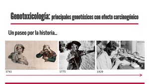 Genotoxicología: principales genotóxicos con efecto carcinogénico by ...