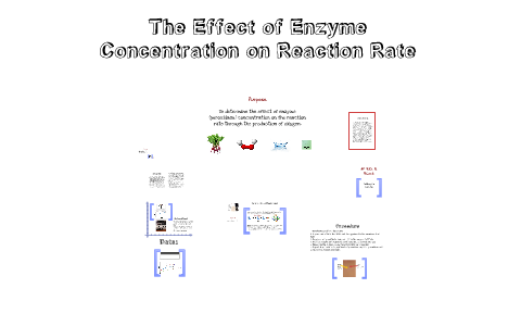 Enzyme Catalysis Lab by Leah Yao on Prezi