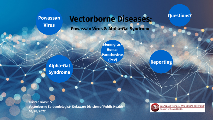 APIC presentation by Kristen Rios on Prezi