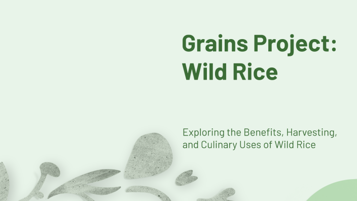 Grains Project: Wild Rice by drake large on Prezi