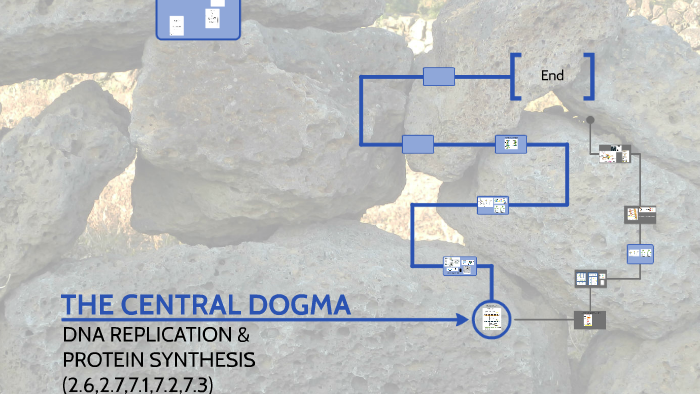THE CENTRAL DOGMA by Peter Gulian on Prezi