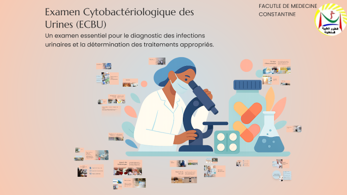 Examen Cytobactériologique des Urines (ECBU) by the mb on Prezi