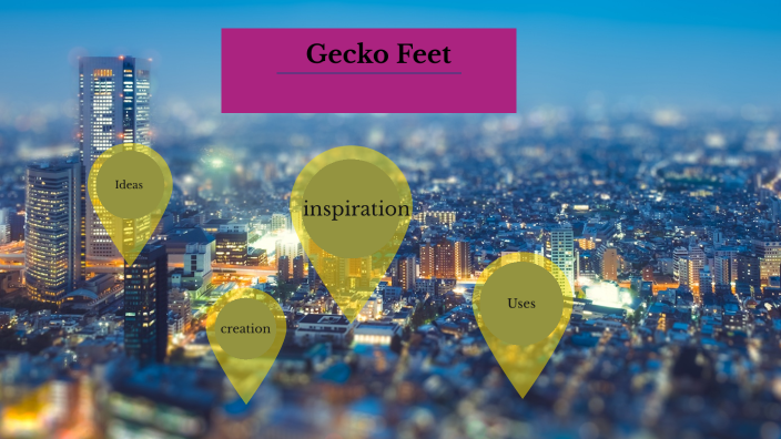 gecko feet biomimicry by James Kirk on Prezi