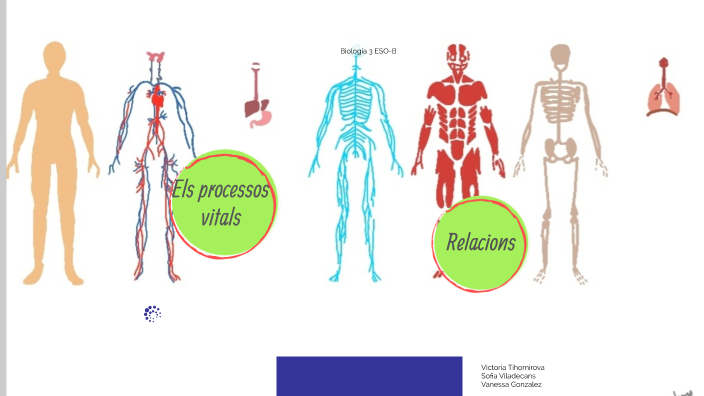 Biologia el cos humà by Victoria Tihomirova on Prezi