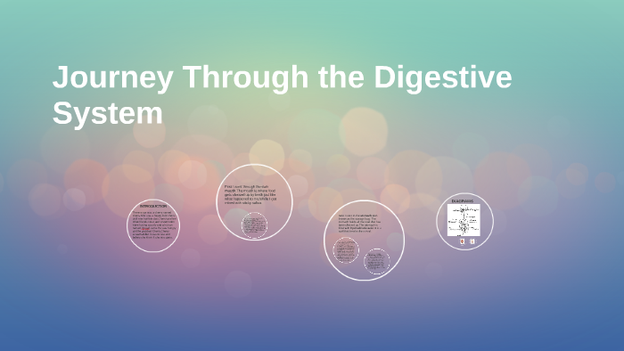 Journey Through the Digestive System by ayesha narayan on Prezi