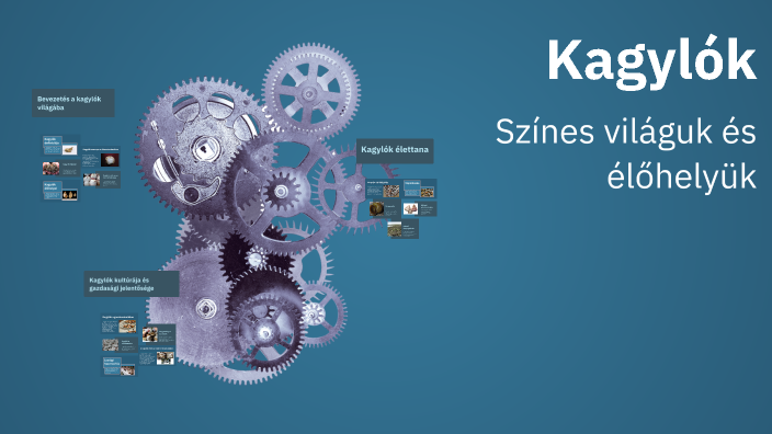 Kagylók by Dóra Nagy on Prezi