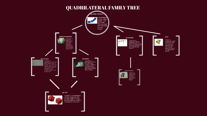 QUADRILATERAL FAMILY TREE by Rachel Bennett on Prezi