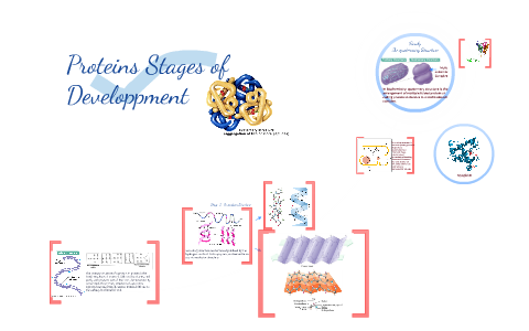 Proteins Stages By Structures by on Prezi