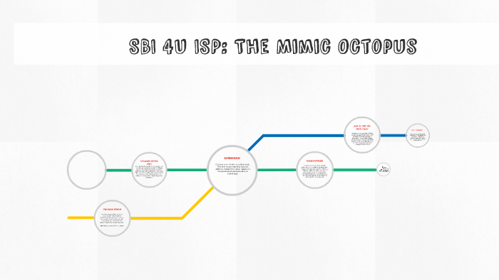 The Mimic Squid by Mariana Rangel on Prezi